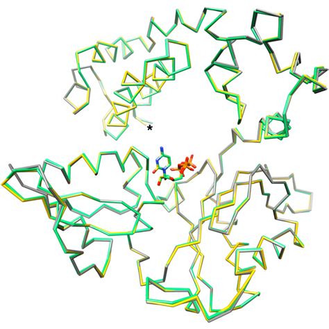 Figure S2 Closed Conformation Of The Ternary Substrate Complexes With