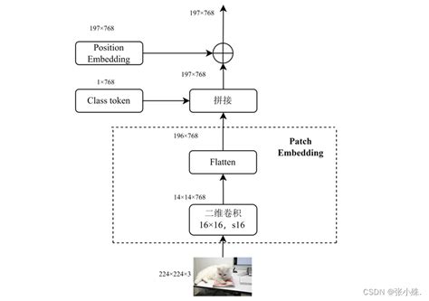 Vision Transformer模型架构详解