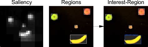 example illustrating the fusion of the object detector s and salience