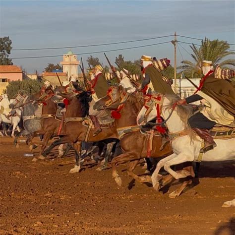 علفة سعيد ولد الحاج الشيخ On Reels