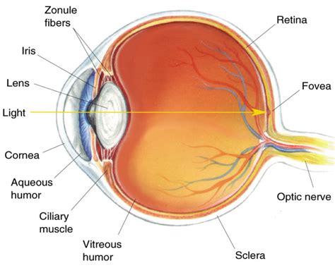 3d Eye Diagram