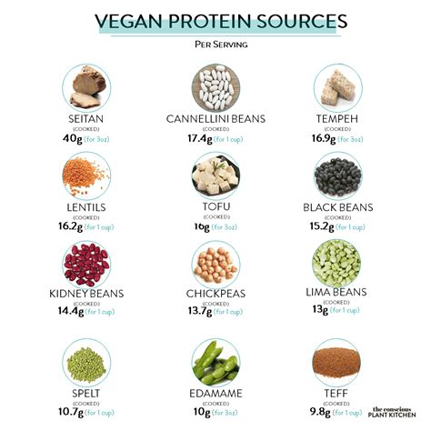 Best Vegan Protein Sources Erren Kitchen