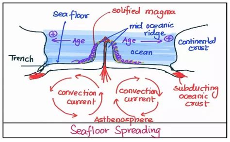 Continental Drift And Sea Floor Spreading Interconnection Evolutionary