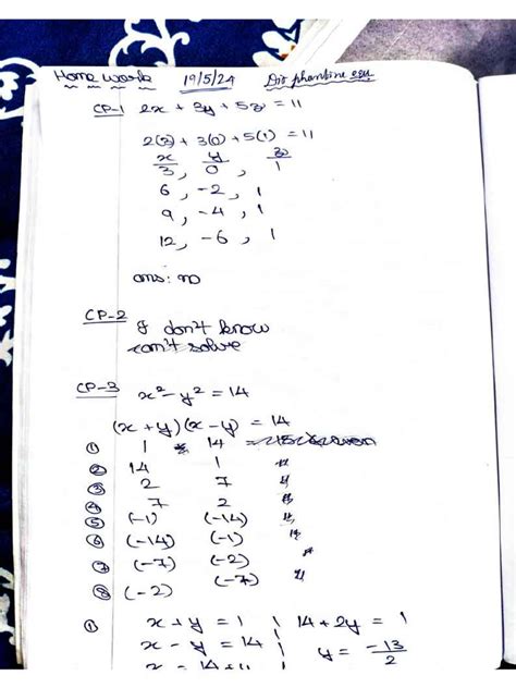 diophantine equation 190524 hw pdf