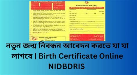 জন্ম নিবন্ধন সনদ ডাউনলোড Birth Certificate Download