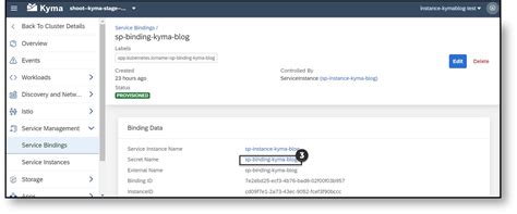 PostgreSQL Connect To A PostgreSQL Instance On A SAP Community
