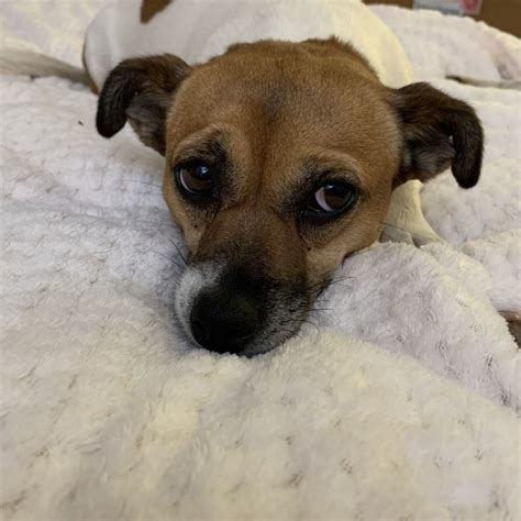 Aleasha Aleashalatham Snapchat Stories Spotlight Och Linser