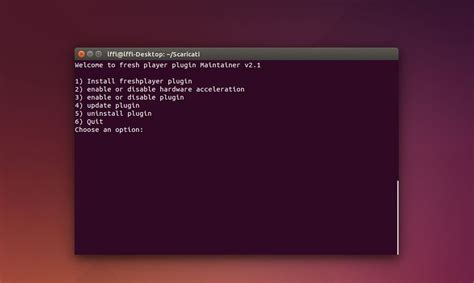 Ubuntu Script Per Installare E Aggiornare Pepper Flash Player Linux