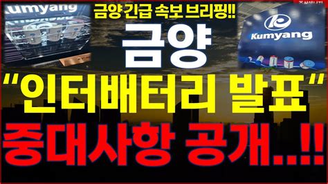 금양 인터배터리 발표 중대사항 공개 금양 긴급 속보 브리핑 Youtube