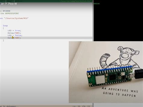 Hopper On Raspberry Pi Pico