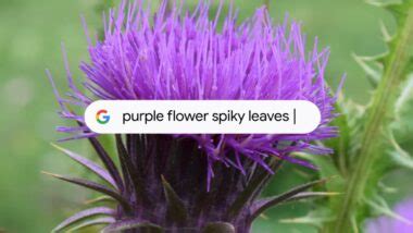 How To Use Google Lens On Your Android Phone Talk Android