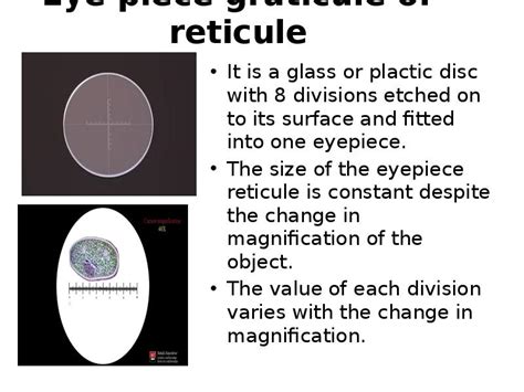 Microscope Measurement презентация доклад проект скачать