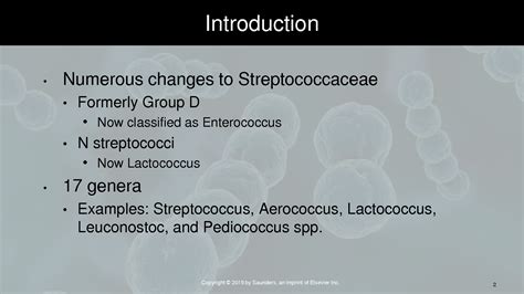 Solution Module 6 Streptococcus Enterococcus And Other Catalase Negative Gram Positive Cocci