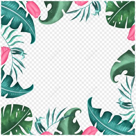 Hand Painted Tropical Leaves Border Hands Leaves Banana Tree Vitality PNG Transparent Background