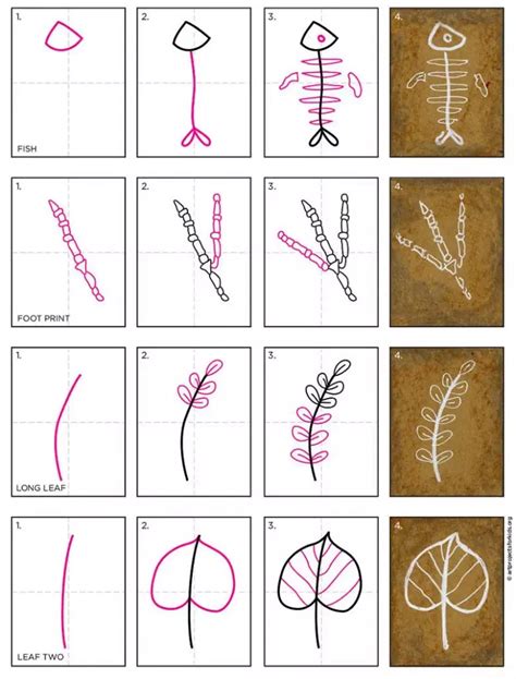 Easy How To Draw A Fossil Tutorial And Fossil Coloring Page