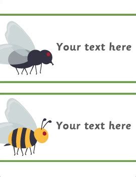 Editable Bug Labels By Kath Lewis Teachers Pay Teachers