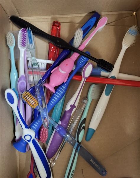 오류남초등학교 대나무 칫솔교환 캠페인 후기 닥터노아 Drnoah