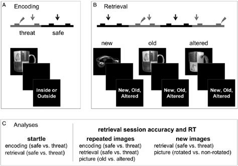 Schematic Of Experimental Design During Encoding A And Retrieval Download Scientific Diagram