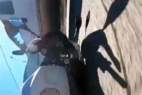 자동차 도로 위 트럭에 쾅 최악의 오토바이 사고 원인은 바로 ‘이것이었다