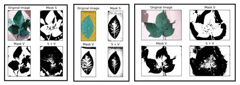 Python Detection Of Leaf On Unpredictable Background Stack Overflow