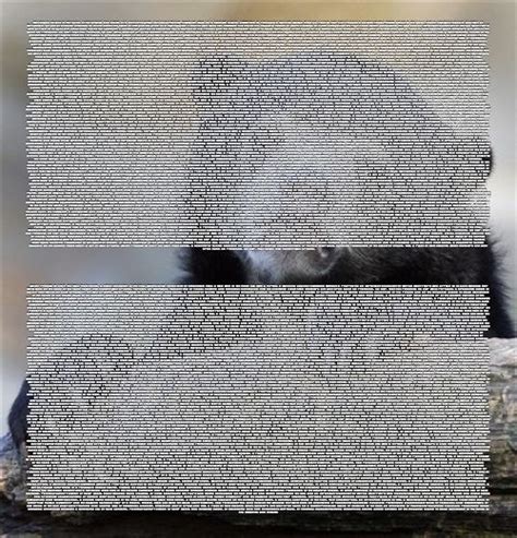 Confession Bear In The Not Too Distant Future Meme Guy