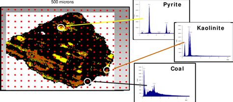 qemscan pma analysis mode showing the grid of analytical points