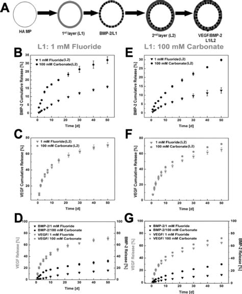 Tunable Dual Growth Factor Delivery From Hydroxyapatite Microparticles