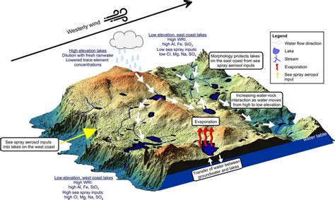 Conceptual Synthesis Of The Hydrochemical Processes Affecting Lake Download Scientific Diagram