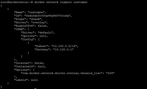 Docker Swarm Container Not Getting Started With Created Overlay