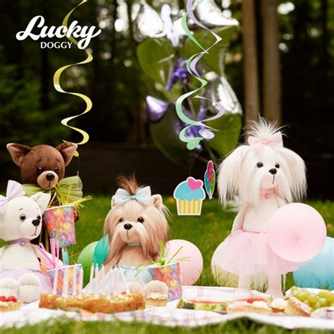 Collection Lucky Doggy