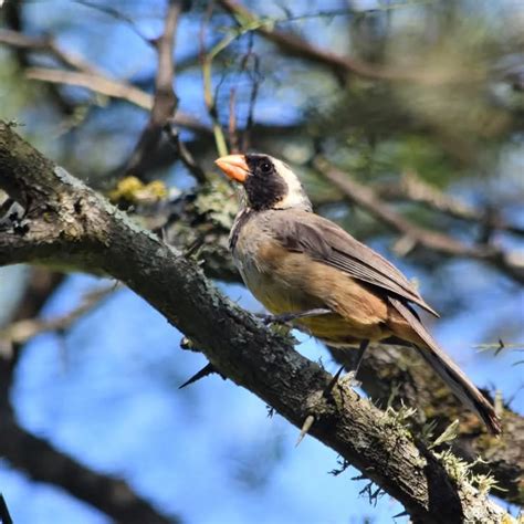 Analia Moreyra Fotografía Analiamoreyrafotografia • Instagram