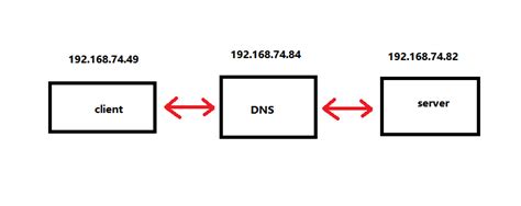 部署dns 服务器berkeley Internet Name Domain 部署 Csdn博客