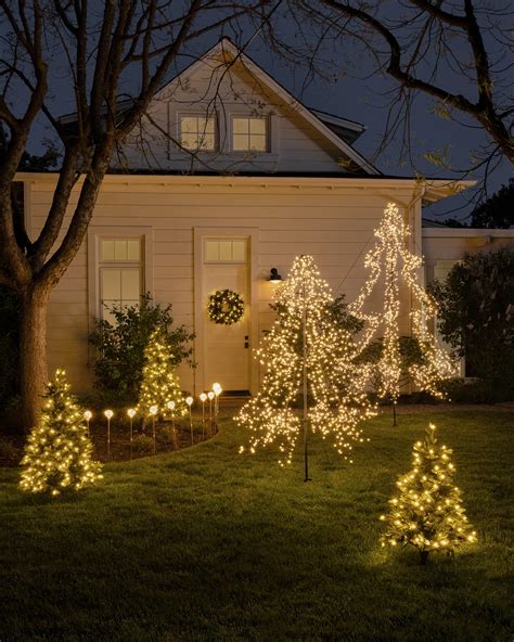 Outdoor Holiday Trees With Lights