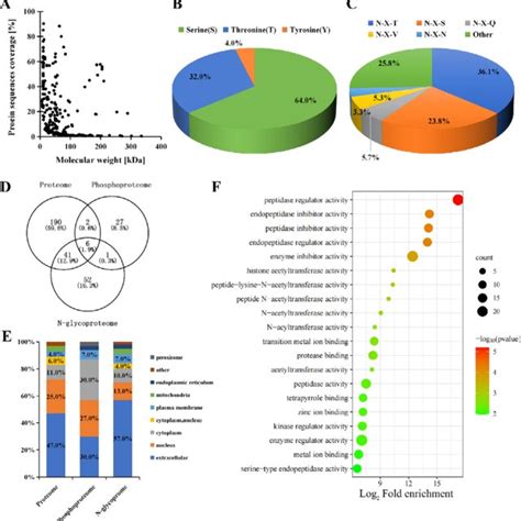Characterization Of Identified Proteins Phosphoproteins And Download Scientific Diagram