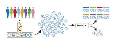Multiplexed Multimodal Single Cell And Spatial Sequencing Ye Lab