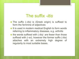 Morphological Productivity Pptx