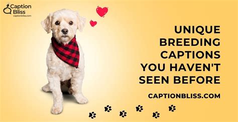 Breeding Captions 100 Proven Ideas That Drive Clicks