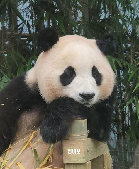 더쿠 혹시 내 까묵은 더쿠들 있나