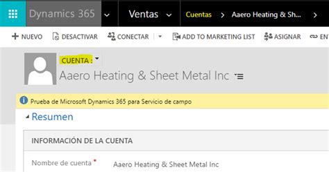 Translating And Renaming Dynamics 365 Artifacts Into Other Languages