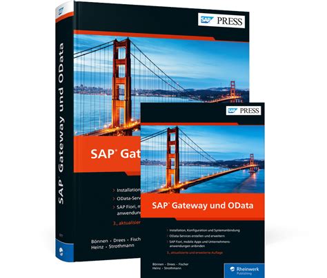 Sap Gateway Und Odata Sap Press