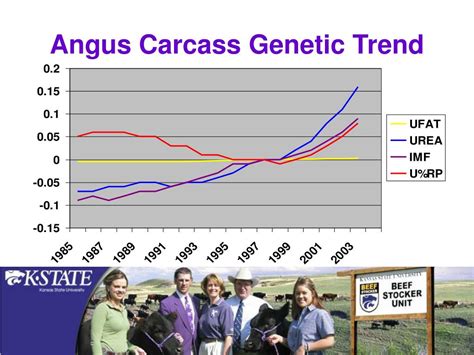 Ppt Have Phenotypic Trends For Carcass Traits Followed Genetic Trends Powerpoint Presentation