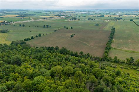 유채 밭과 고속도로 On400의 조감도 브래드포드 웨스트 그윌림베리 캐나다 0명에 대한 스톡 사진 및 기타 이미지 0명
