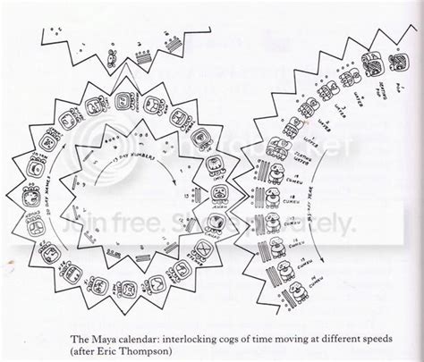 20 Mayan Tzolkin Calender Glyphs 20 Amino Acids Part Ii Science And