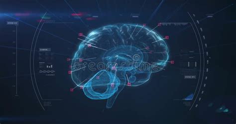 Animation Of Human Brain And Data Processing Over Dark Background Stock