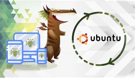 Cách Cài đặt Chứng Chỉ Ssl Trên Ubuntu Server