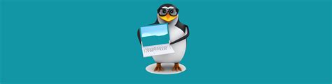 Một Số Lệnh Commands Hữu Dụng Trong Linux Flinters Developers Blog