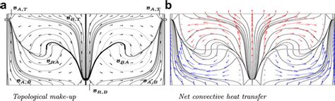 Composition Of The Steady State Convective Thermal Topology And Its Download Scientific Diagram