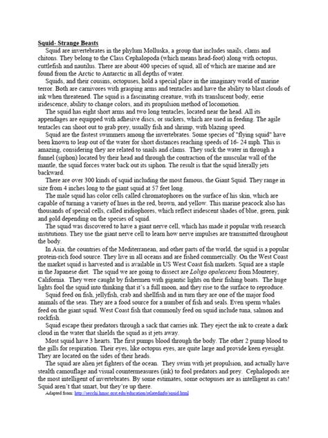 Squiddissection 1 Pdf Octopus Tentacle