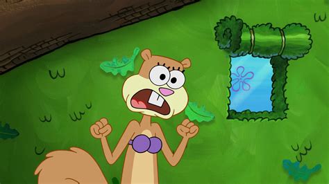 Spongebuddy Mania Spongebob Episode Sandys Nutmare