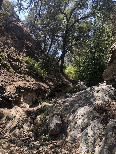 Malaga Lunada Palos Verdes Hike W Teal Eich Gerontology And